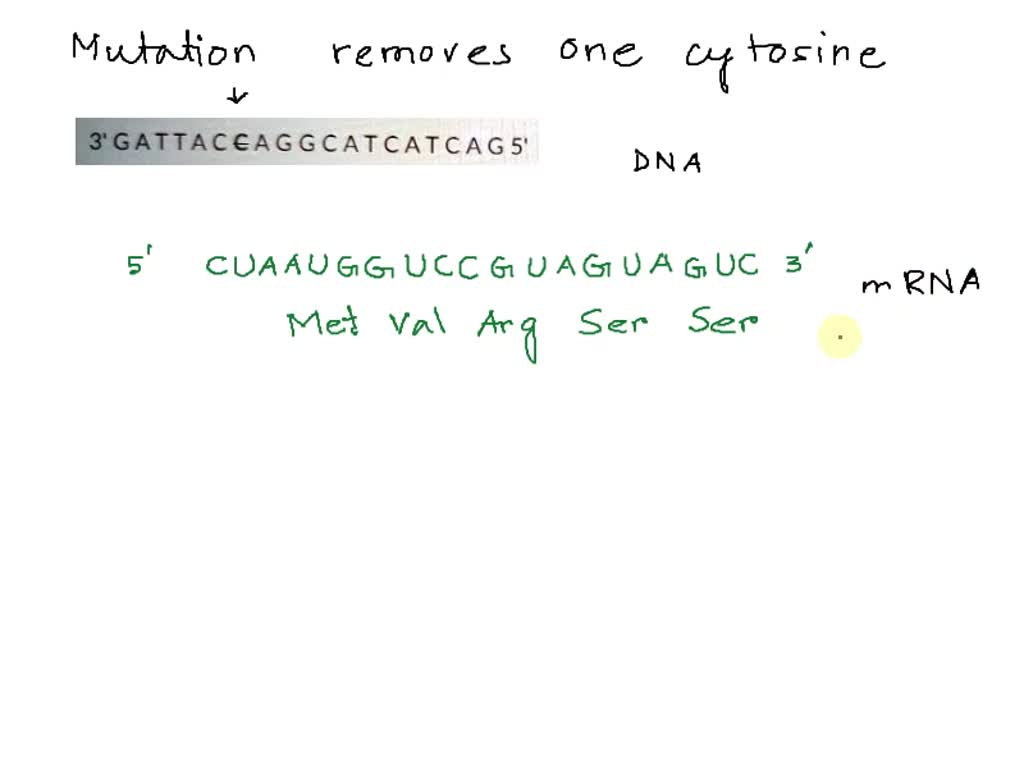 SOLVED: Please no cursive thank you 1. Could alteration of gene ...