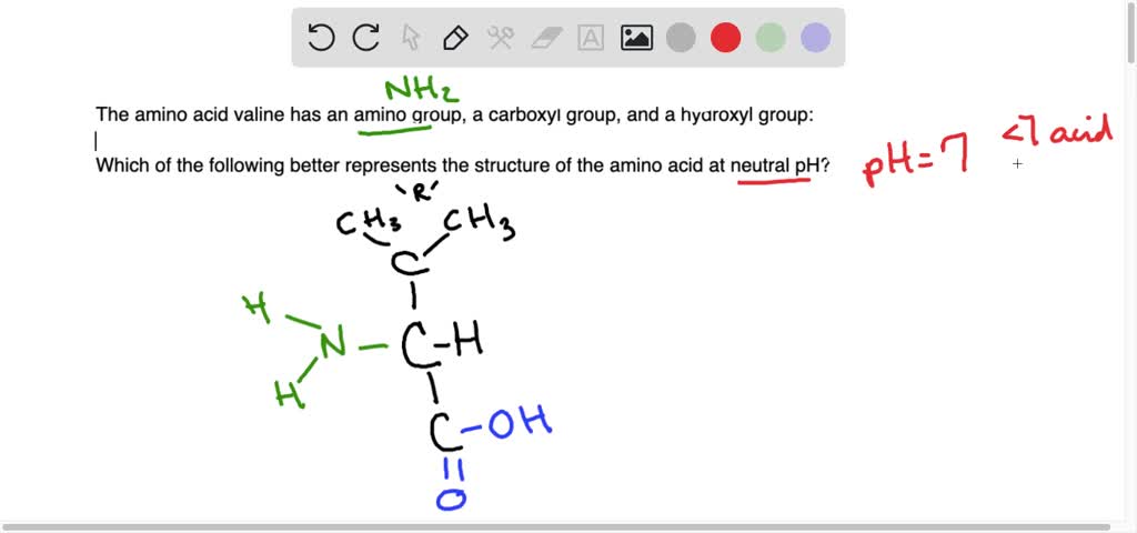 SOLVED: '19 The amino acid valine has an amino group, a carboxyl group ...