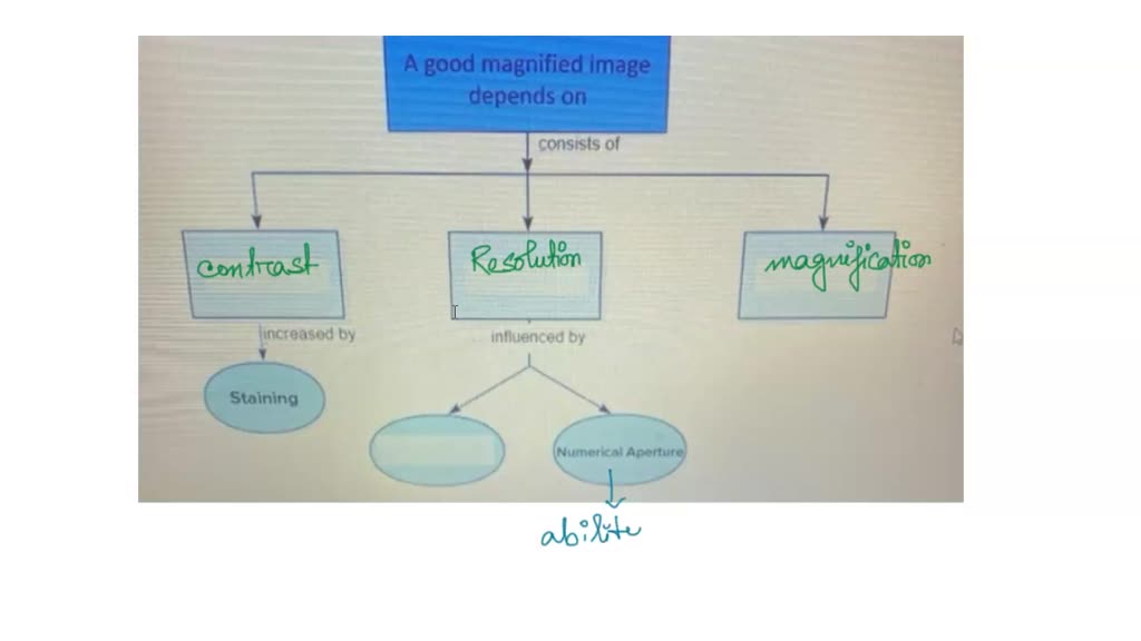 SOLVED: Move the terms into the correct empty boxes to complete the ...