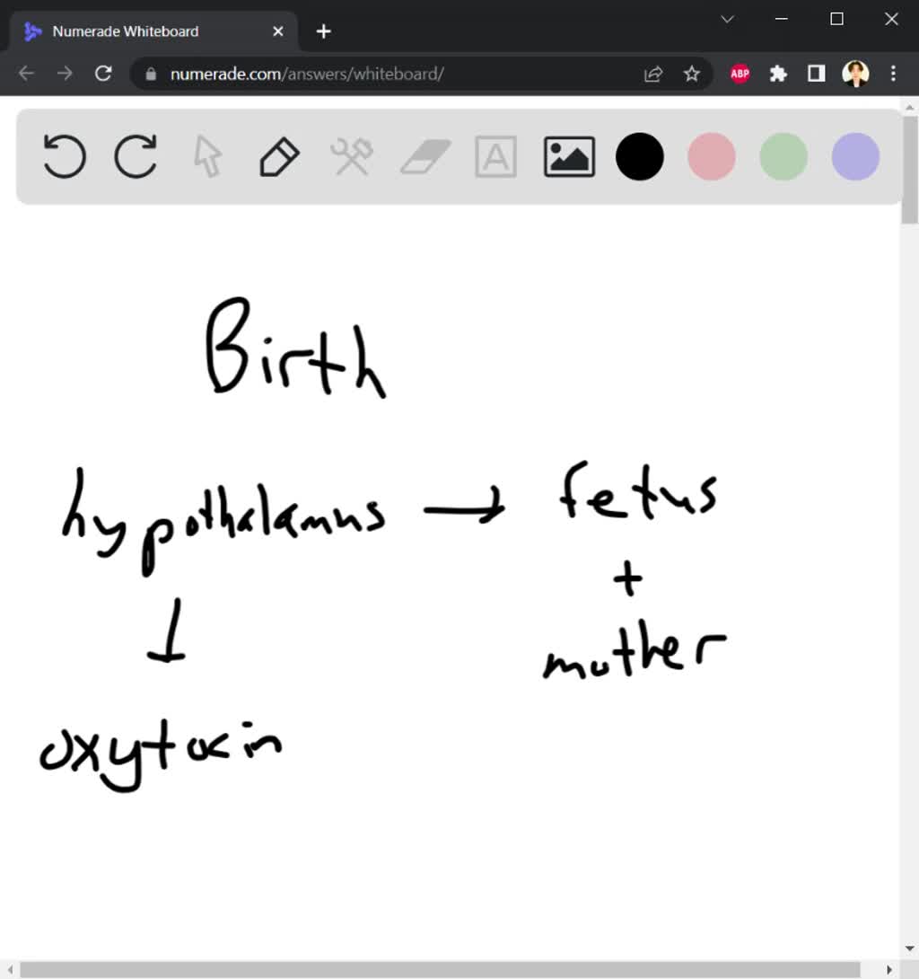 SOLVED: Describe the positive feedback mechanism of true labor.