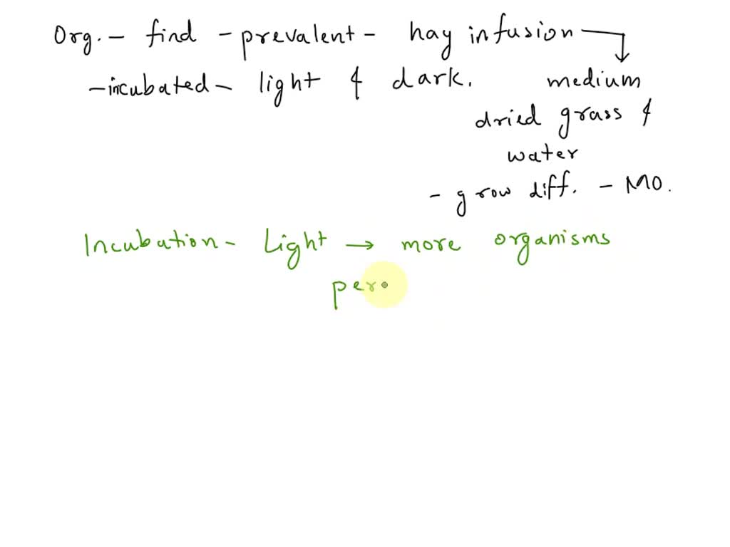SOLVED: What type of organisms will be more prevalent in the hay ...