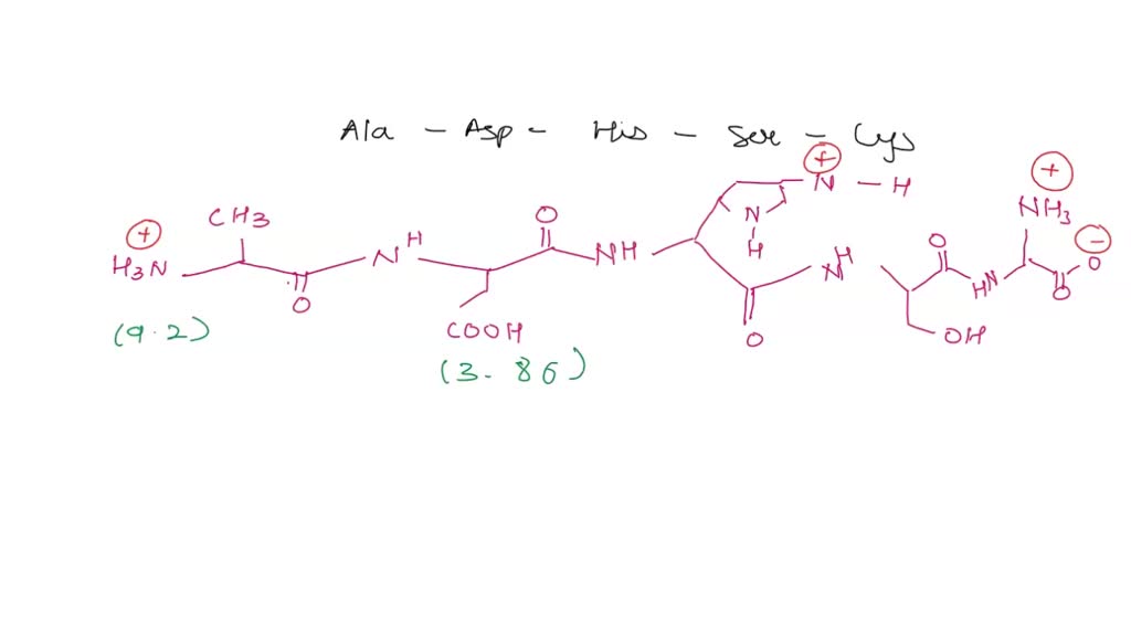 SOLVED: At pH 3, how many charged groups are present in the ...