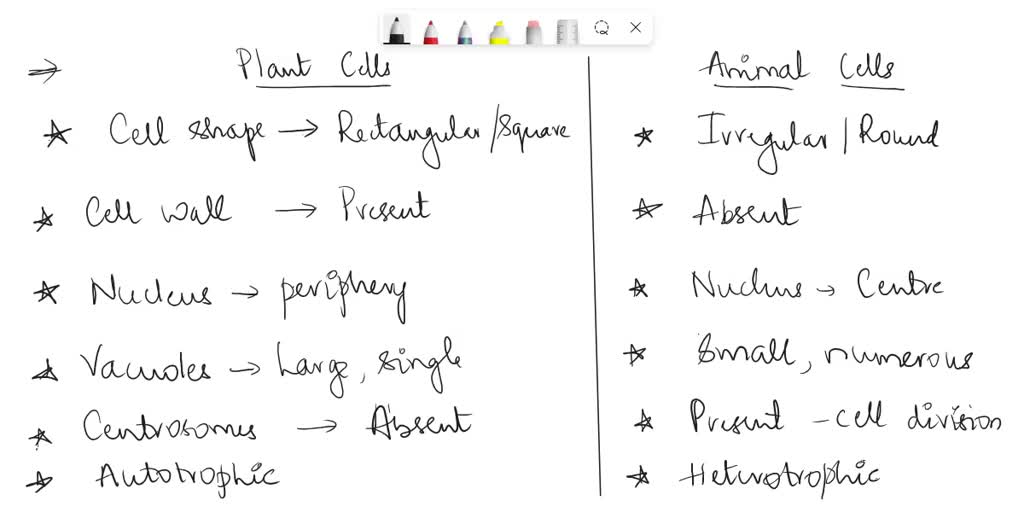 SOLVED: In what major ways do prokaryotes differ from eukaryotes ...