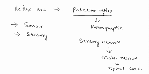 Give the parts of the reflex arc for the patellar reflex...