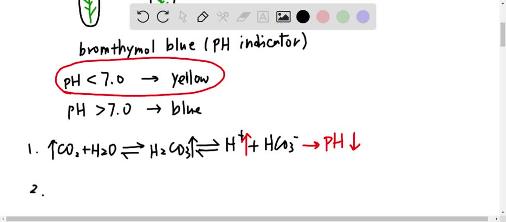 Two test tubes are filled with a solution of bromthymol blue. A student ...