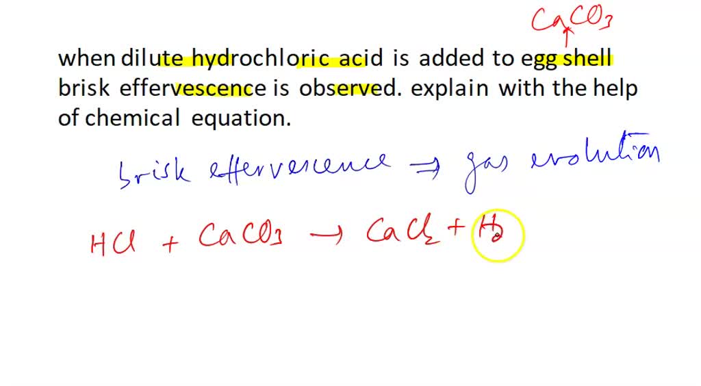 SOLVED: when dilute hydrochloric acid is added to egg shell. brisk ...