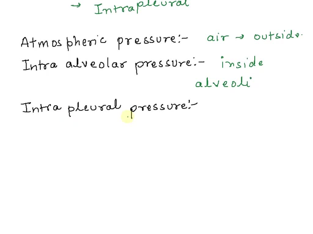 SOLVED: Explain the changes in the atmospheric and intrapulmonary air ...