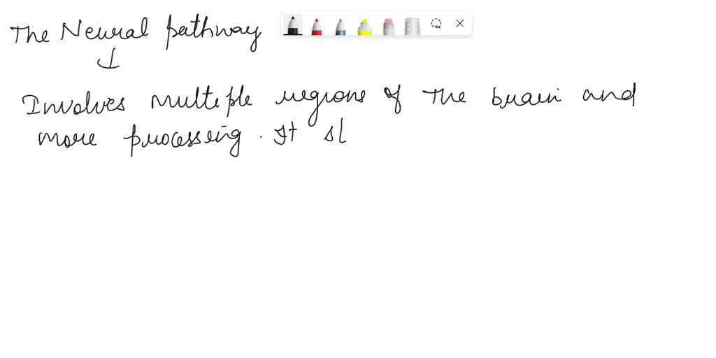 SOLVED: 'Why is the neural pathway for reactions described as "more ...