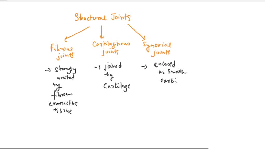 SOLVED: Describe the following structural joint types: fibrous joints ...