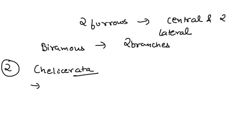SOLVED: Tagmatization is the process of dividing the body of an ...