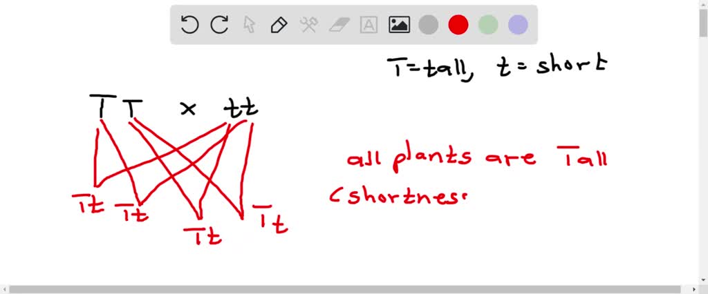 SOLVED: If you cross TT x tt, where T represents Tall and t represents ...