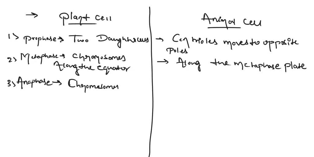 SOLVED: Briefly Summarize the differences between plant and animal cell ... SOLVED: Briefly Summarize the differences between plant and animal cell ...
