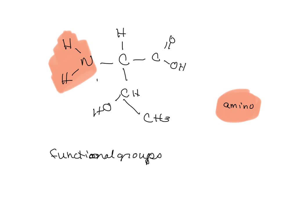 SOLVED: Look at the molecule below. Which functional groups does this ...