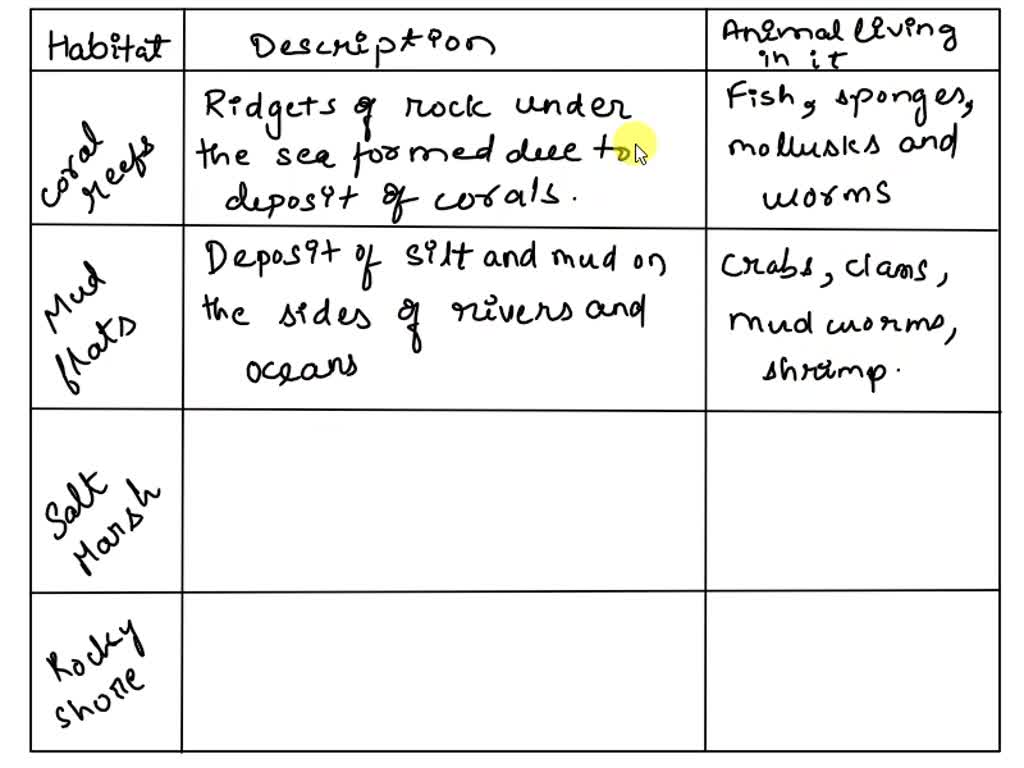 SOLVED: Objective: Identify the biotic factors in an intertidal zone ...