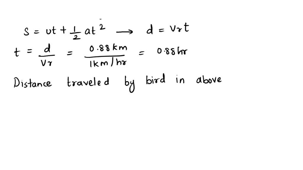 SOLVED: runner is jogging at a steady 1 km/hr. When the runner is 0.88 ...
