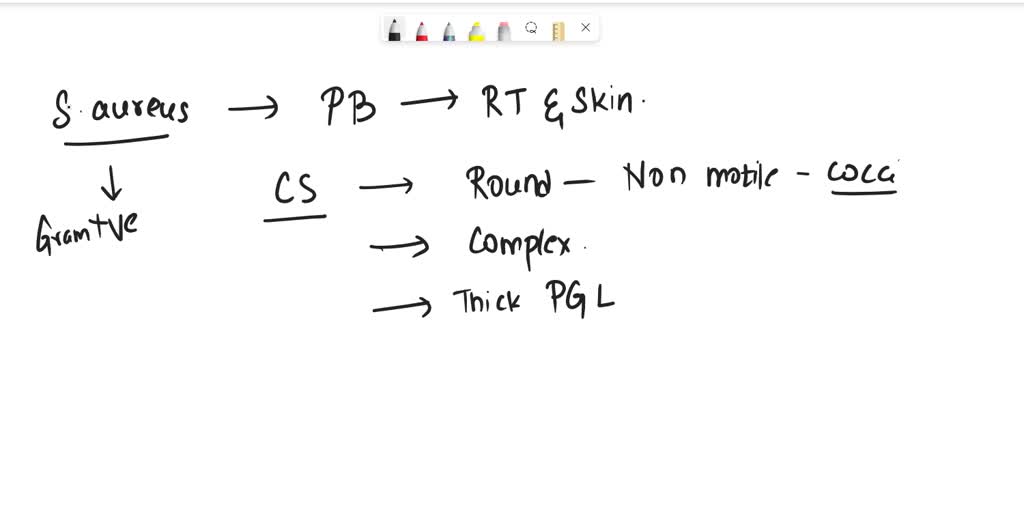 Solved Describe The Staphylococcus Aureus Cell Structure
