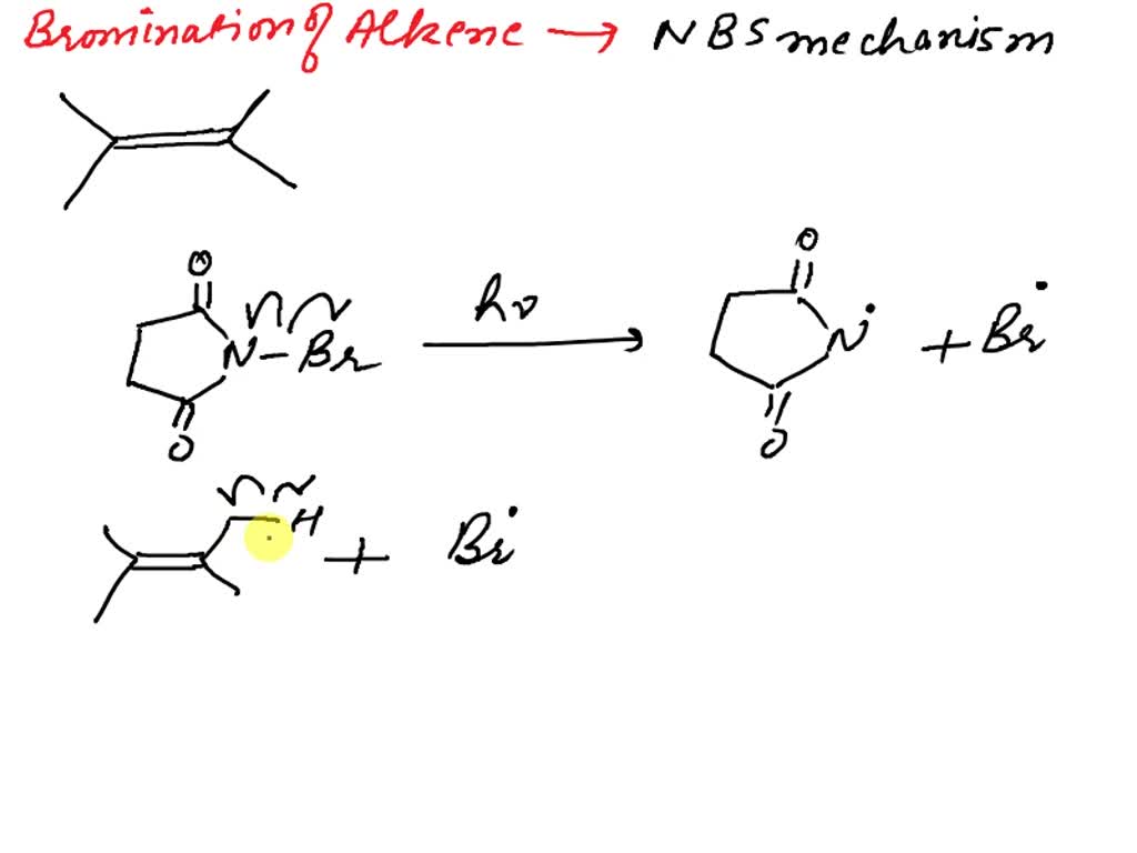 Solved The Compound Below Treated With N Bromosuccinimide Nbs In The