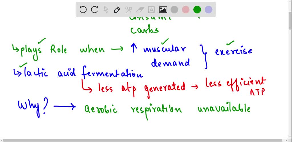 SOLVED: Many clostridia use the Stickland reaction to ferment amino ...