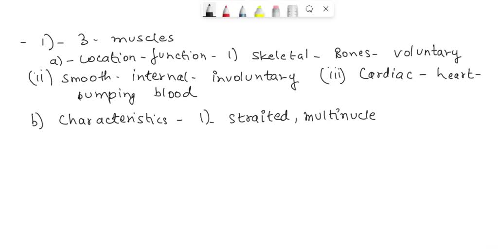 SOLVED: 1. Three different types of muscles a. Location and function b ...