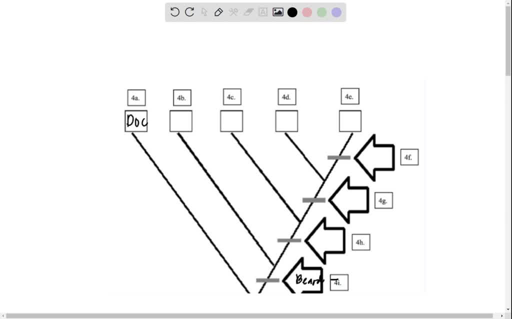 SOLVED: Based on the information in the table below, construct a cladogram (or tree) which ...