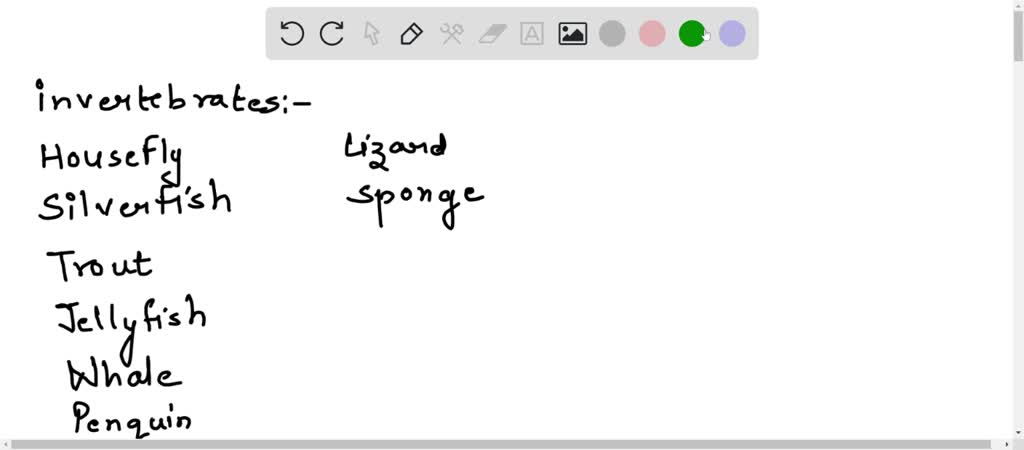 Identify the examples of an r-selected species. Orca (killer whale ...