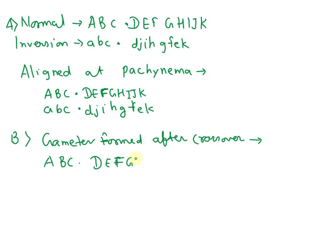 SOLVED: A paracentric inversion heterozygote with one chromosome in the ...