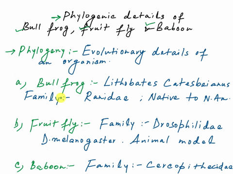 Draw a phylogenetic tree with the following birds raven...