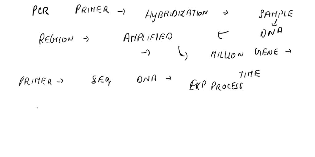 Solved Place The Primers In The Correct Orientation And Locations To