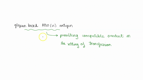 SOLVED: What is the primary role of the "Fieser workup"?