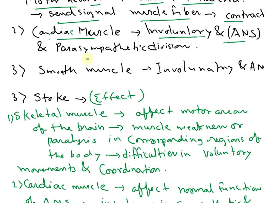 SOLVED: B. Identify structural similarities between skeletal muscle and ...