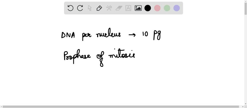 A group of cells is assayed for DNA content immediately following ...
