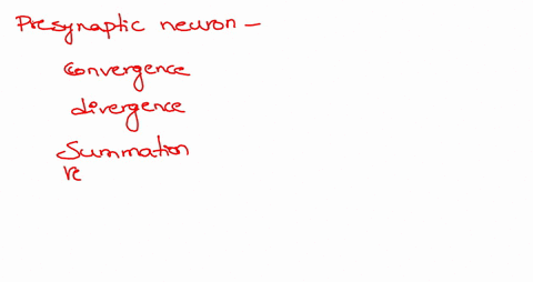 SOLVED: A presynaptic neuron in the cerebrum transmits information to ...