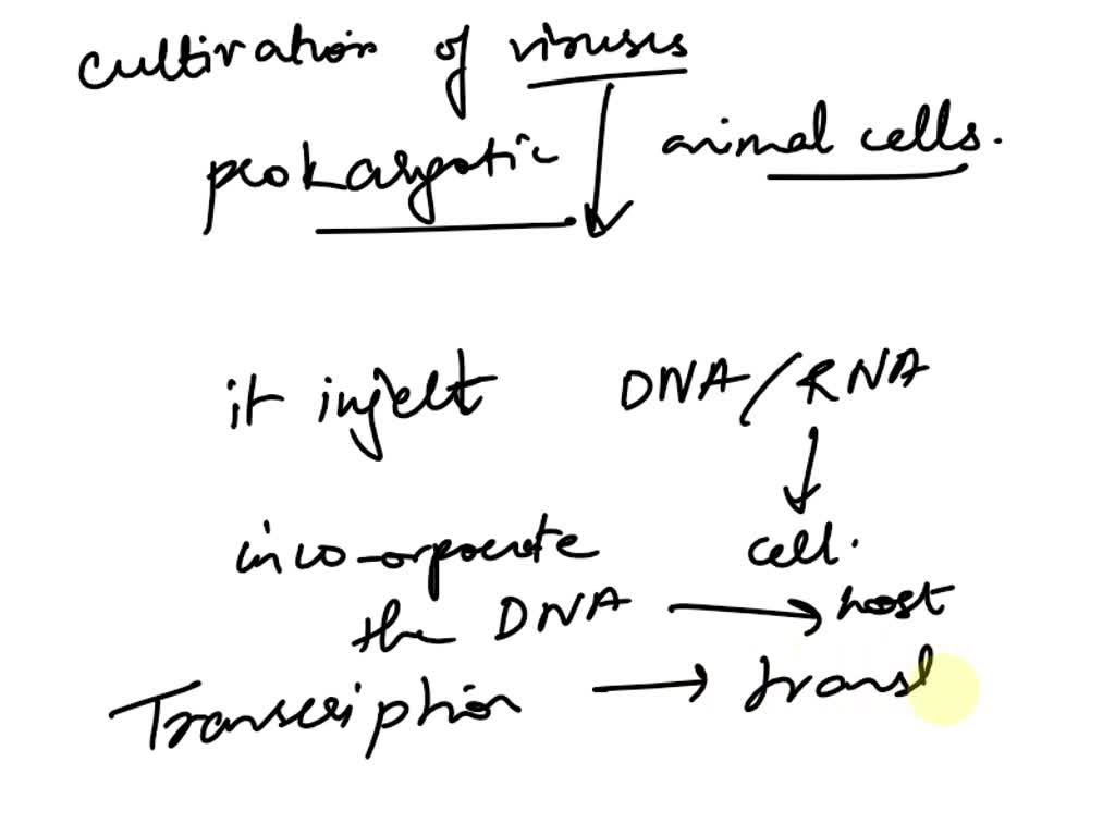 SOLVED: Write short notes on the cultivation of viruses in prokaryotic ...