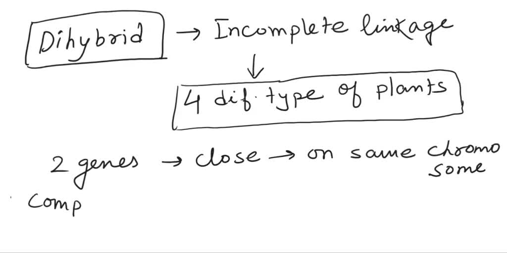SOLVED: A dihybrid plant with incomplete linkage on test cross may ... SOLVED: A dihybrid plant with incomplete linkage on test cross may ...