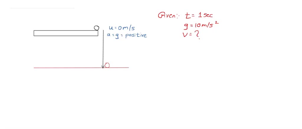 SOLVED: "A ball falls off a table and reaches the ground in 1 s ...