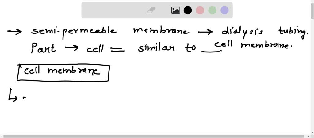 SOLVED: In the lab experiment, the semipermeable membrane you will use ...