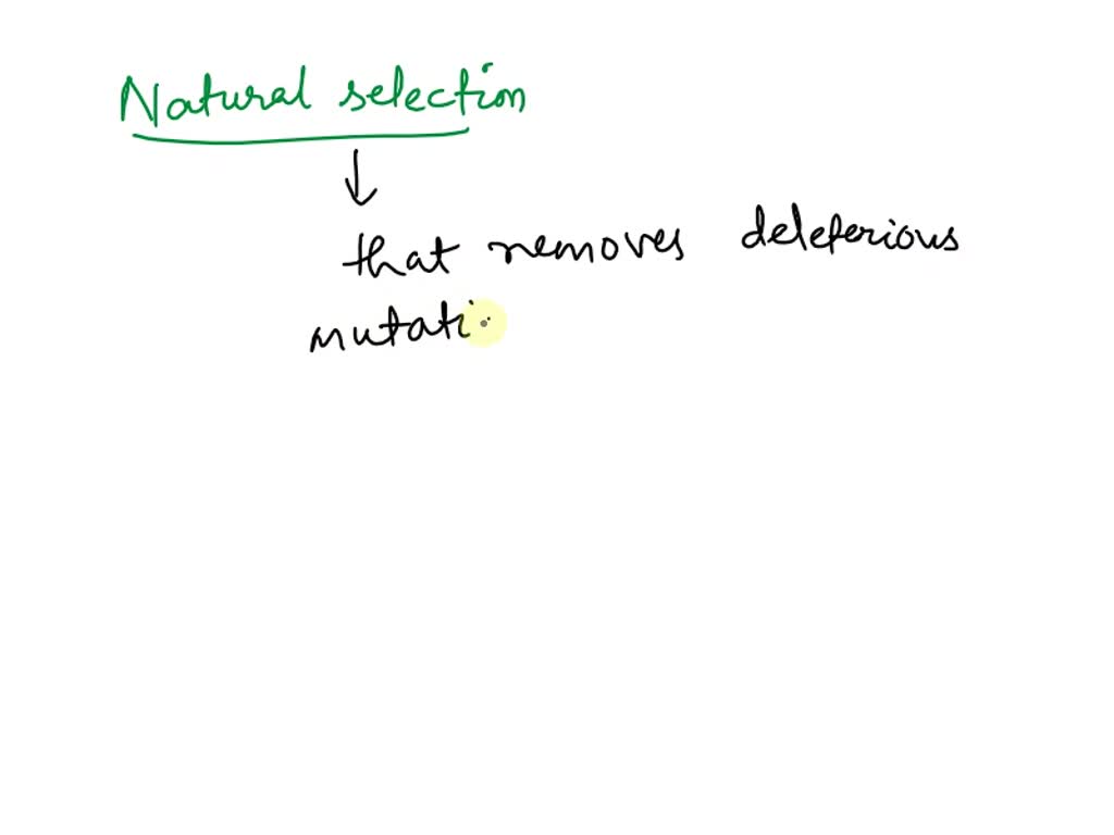 Solved Fill In Blank New Mutations Are Removed From The Population By