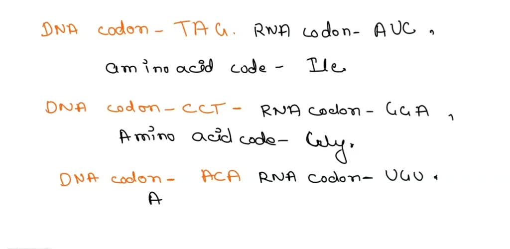 SOLVED: This is a practice question and does not count for credit. DNA ...