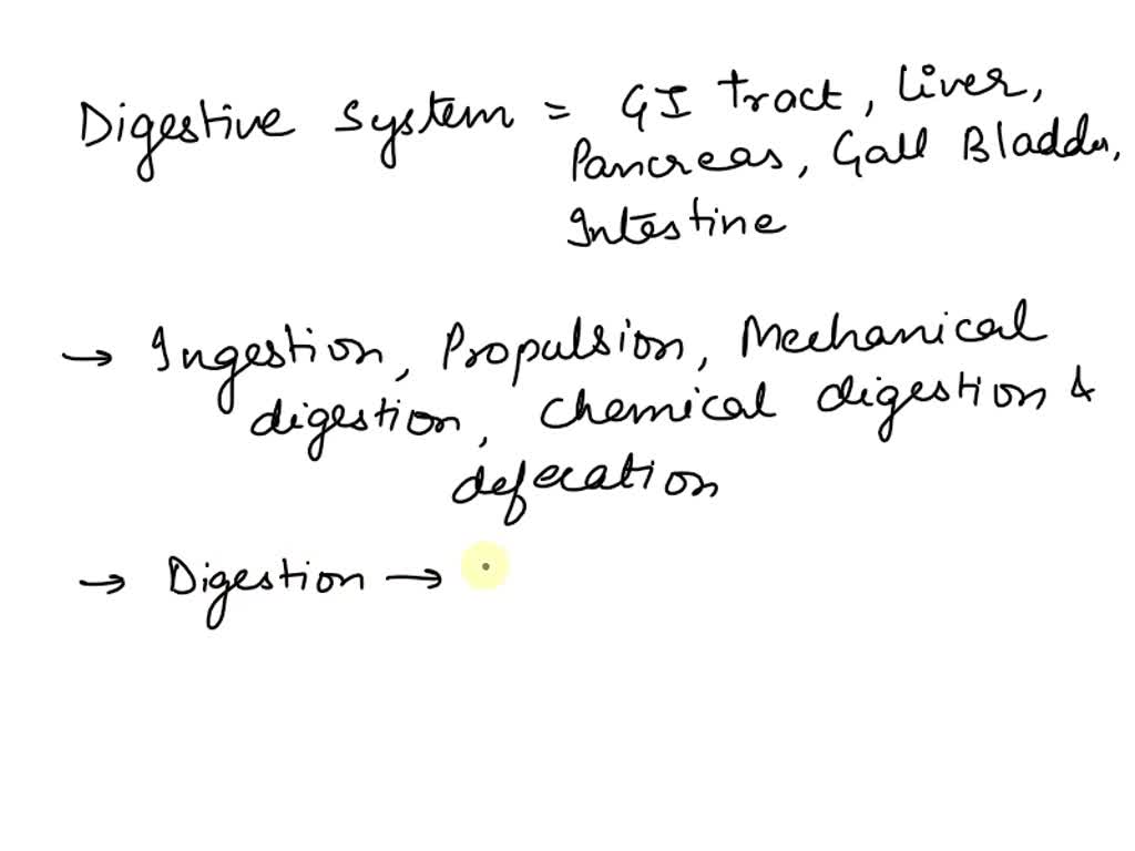 SOLVED Define The Following Functions Of The Digestive System solved-define-the-following-functions-of-the-digestive-system