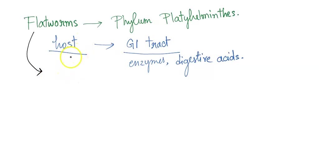 SOLVED: In order to survive the harsh conditions of the GIT and to ...