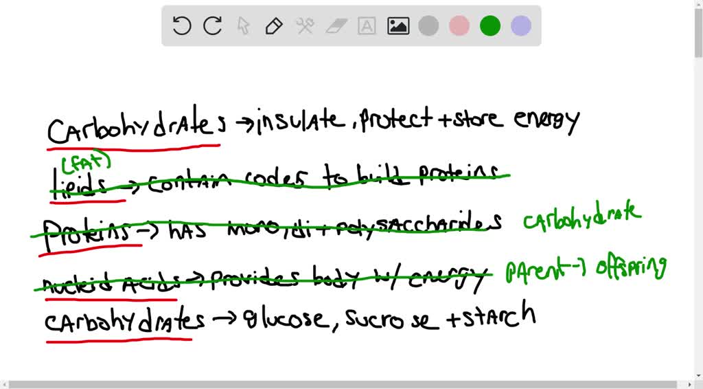 SOLVED: Select the correct association. carbohydratesâ€”serve to ...