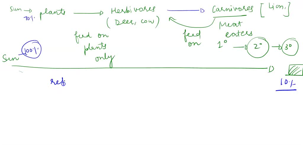 SOLVED: Directions: Answers must be in essay form. The outline form is ...