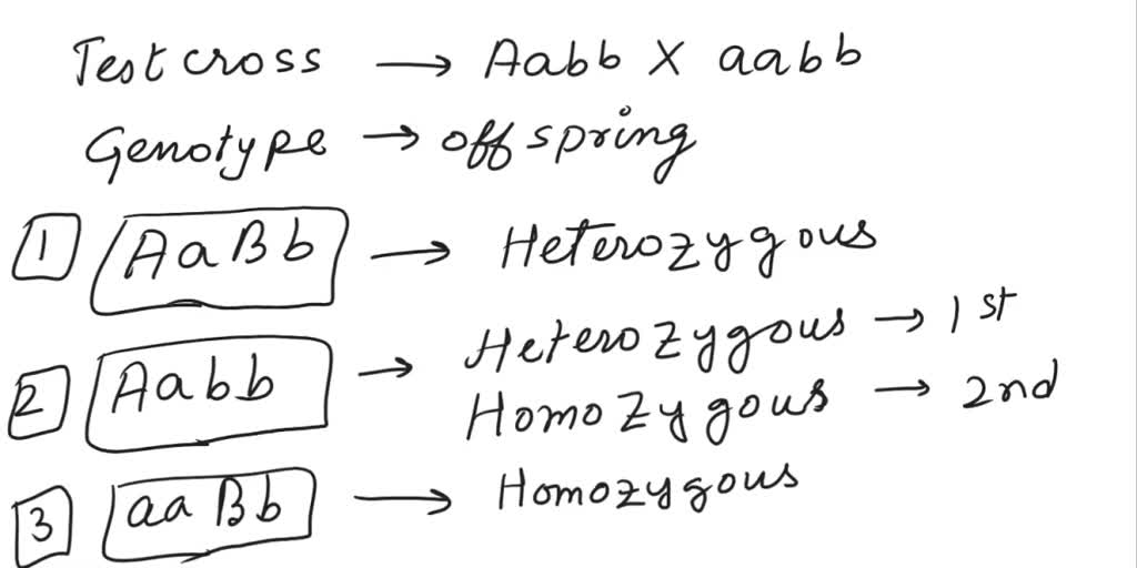10. (6 points) A testcross of AaBb gives 10% Aabb progeny. What ...