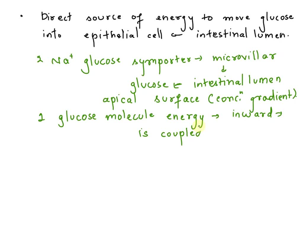 SOLVED: 'Glucose and sodium move from the lumen of the small intestine ...