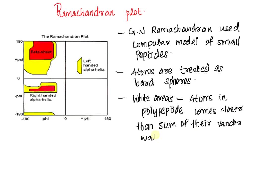 SOLVED: In which quadrant of a Ramachandran plot do phi/psi angles of ...