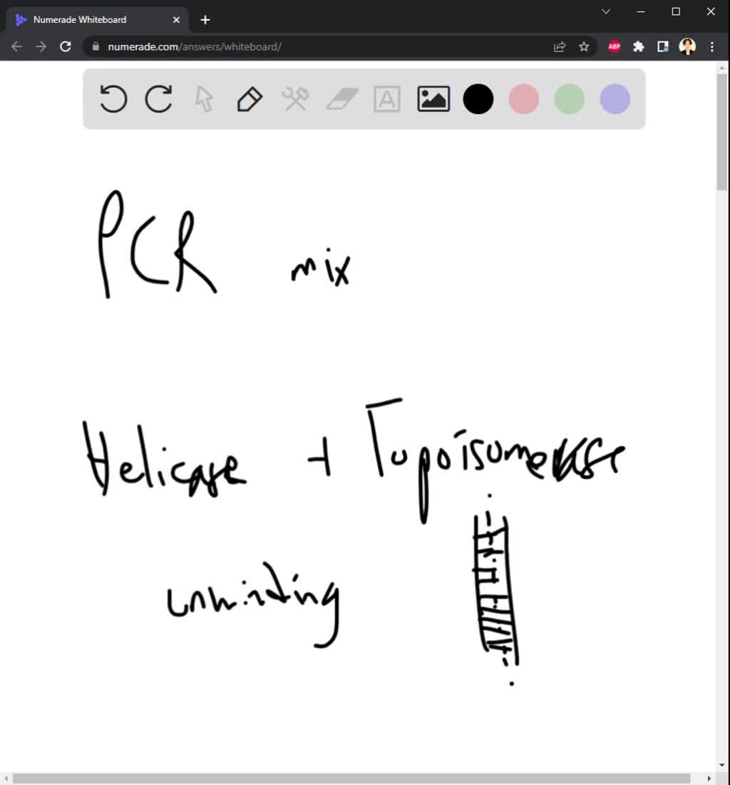 SOLVED: Question 2 pts What are the starting materials for a polymerase ... SOLVED: Question 2 pts What are the starting materials for a polymerase ...