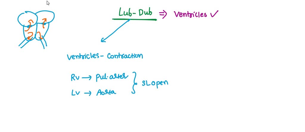 SOLVED: 25. The dub of the lub-dub heart sound is caused by: (a ...