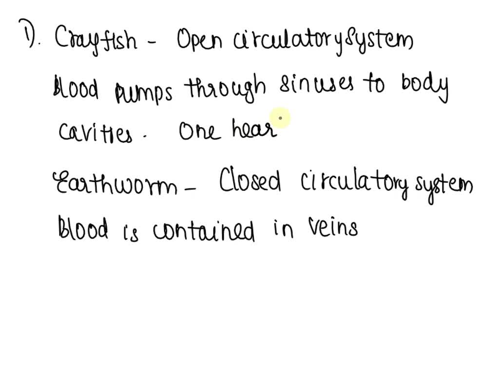 Compare and contrast the Crayfish circulation with the Earthworm ...