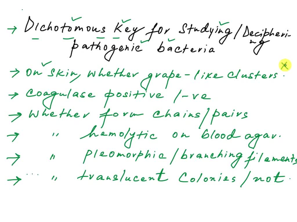 SOLVED: Dichotomous key for common skin bacteria: I. Cells arranged in ...