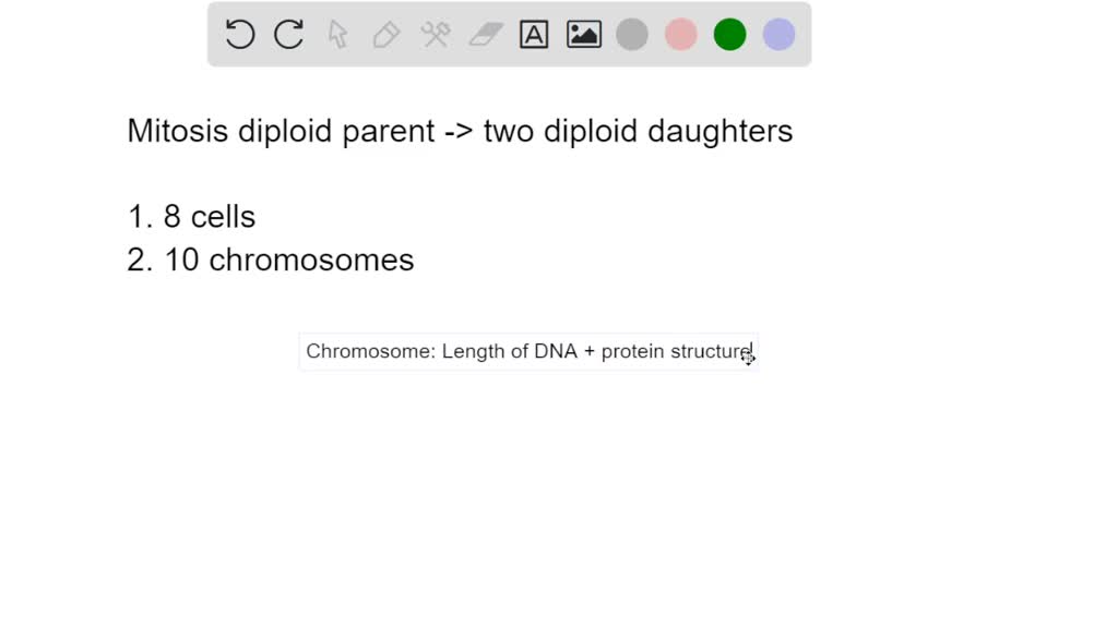SOLVED: If you have a sample of 4 cells and each one undergoes mitosis ...